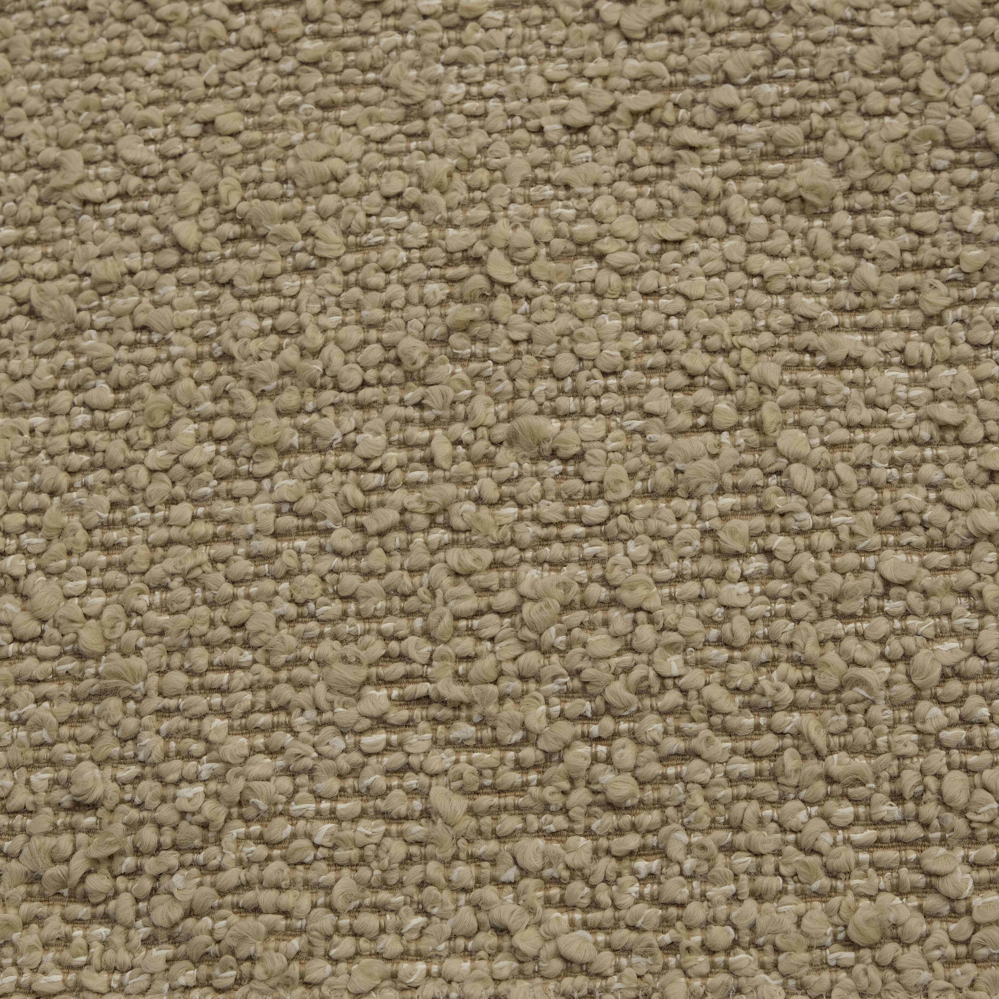 Explore the Quality of Cashew Sun Sample Today